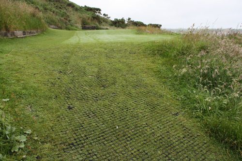 Blue Diamond Matting Greenskeeper Anti-Slip Outdoor Matting